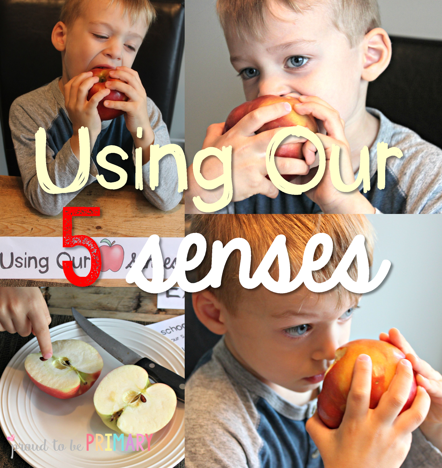 Apple Activities for Kids to Explore the 5 Senses – Proud to be Primary