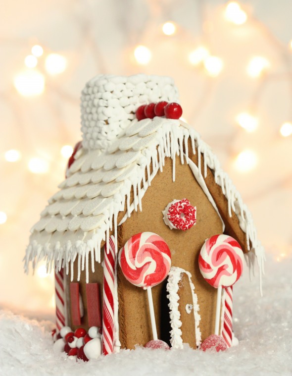 Dishfunctional Designs For The Love Of Gingerbread Ideas Inspiration dishfunctional-designs-for-the-love-of-gingerbread-ideas-inspiration