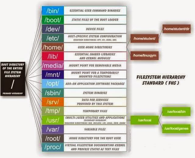 Managing Files 12 Linux Directory Structure managing-files-12-linux-directory-structure