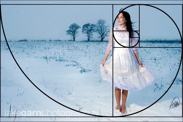 Golden Ratio Rule Of Thirds Symmetrical Asymmetrical Radial Selena golden-ratio-rule-of-thirds-symmetrical-asymmetrical-radial-selena