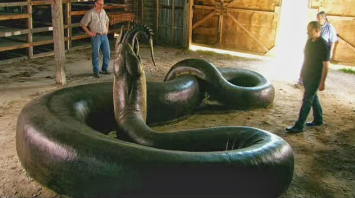 The Scariest Snake Ever Cool Things Shared On Facebook the-scariest-snake-ever-cool-things-shared-on-facebook