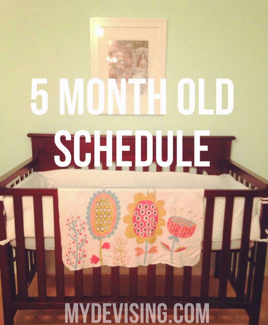 MY DEVISING 5 Month Old Schedule my-devising-5-month-old-schedule