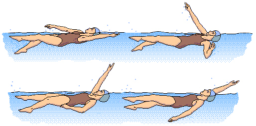 ITE 3543 ( E- LEARNING ): WHAT ARE THE SWIMMING STROKES