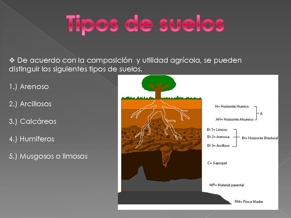 Segundo | Bioquímica " NYDIA SANCHEZ"