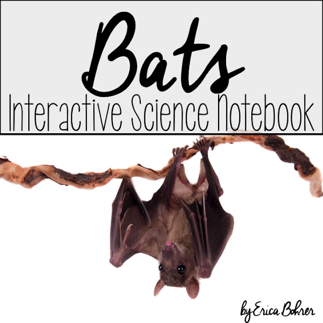 Bats Interactive Science Notebook
