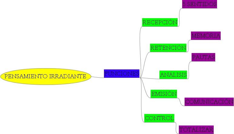 Mapas De Pensamiento De Los Sentidos