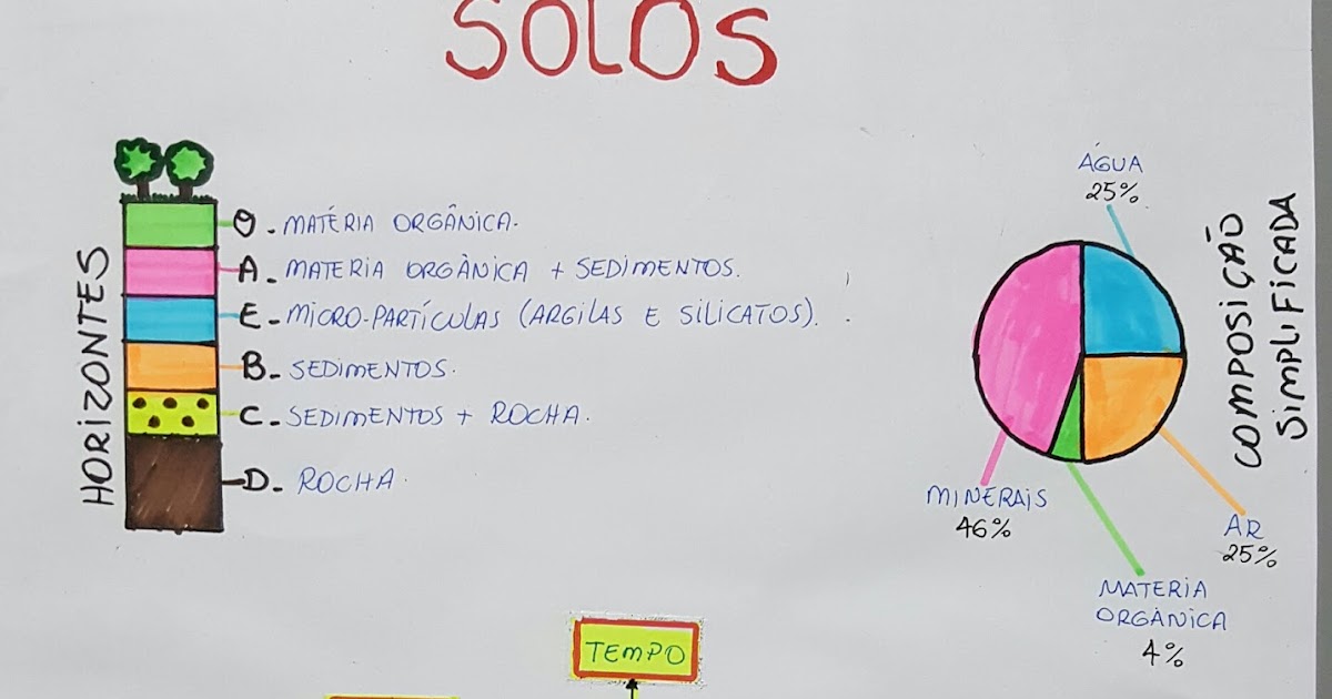 Mapa Mental Sobre Solos - REVOEDUCA