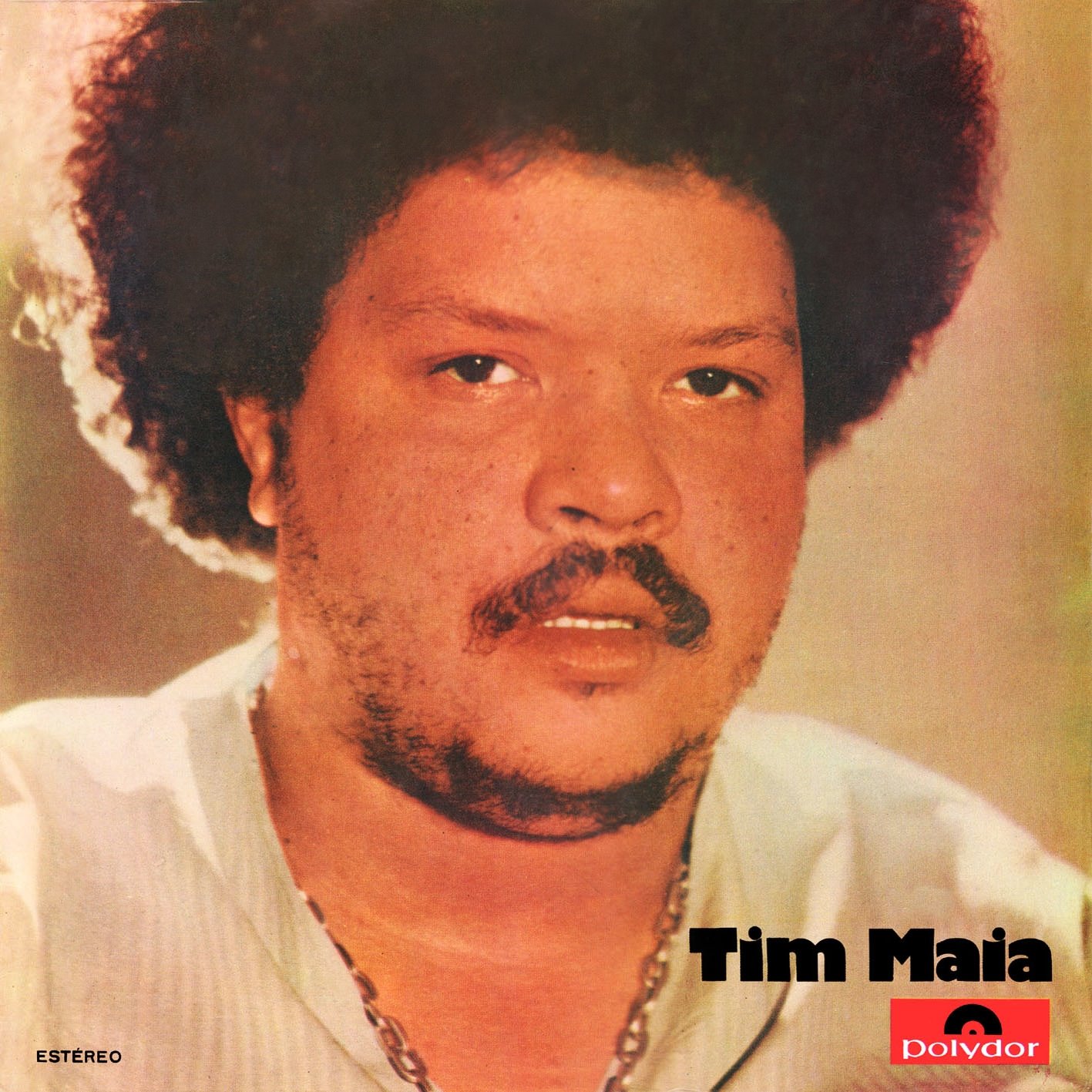 TIM MAIA E UNS CARAS LEGAIS