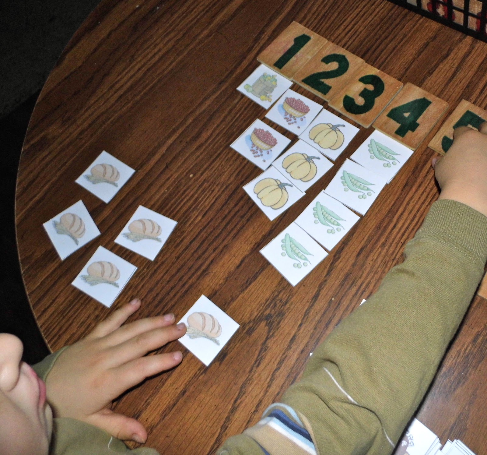 Montessori Thanksgiving Activities - Wildflower Ramblings