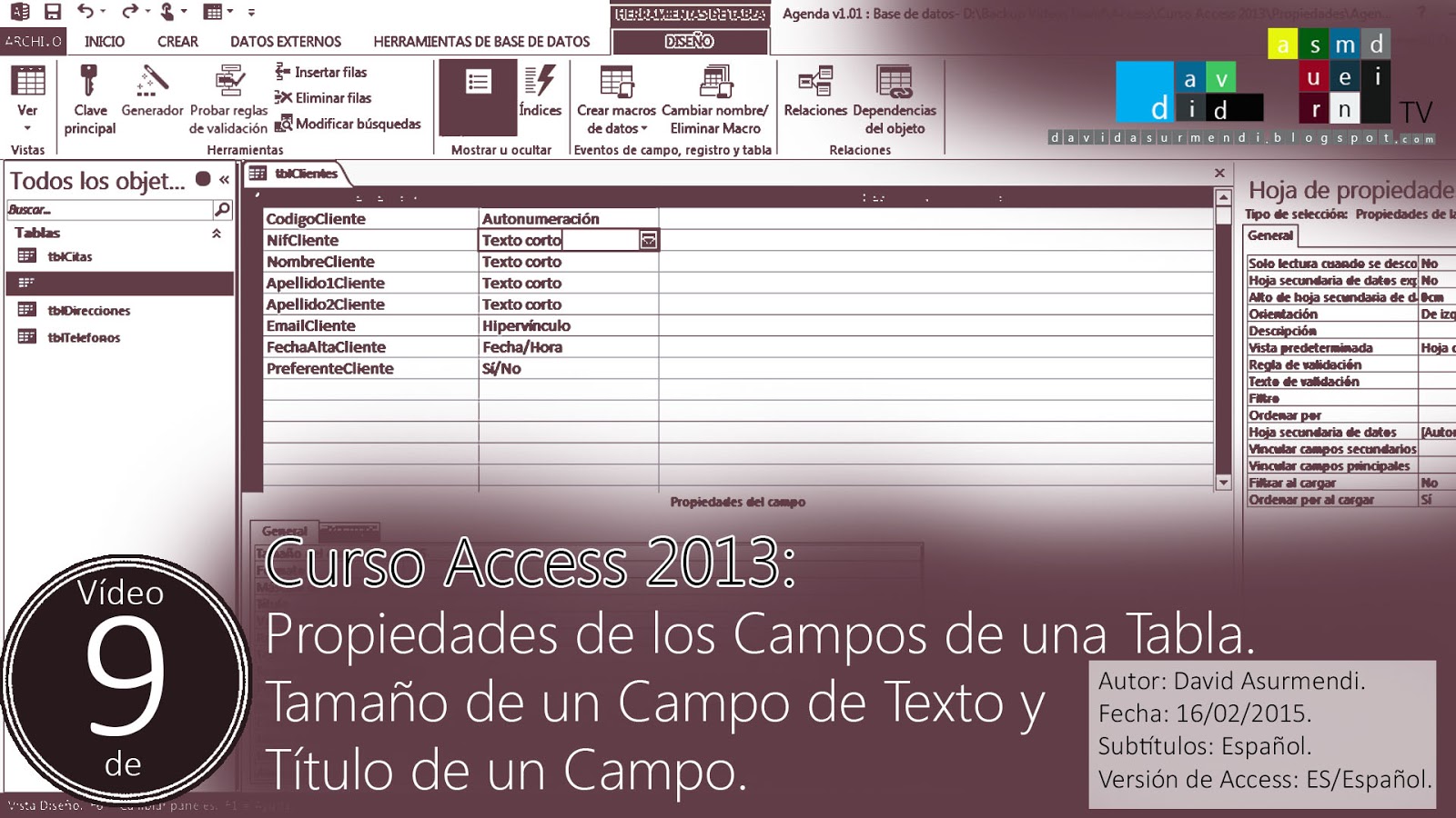 Curso Access 2013, Propiedades de los Campos: Tamaño de un Campo de Texto y Título de un Campo.