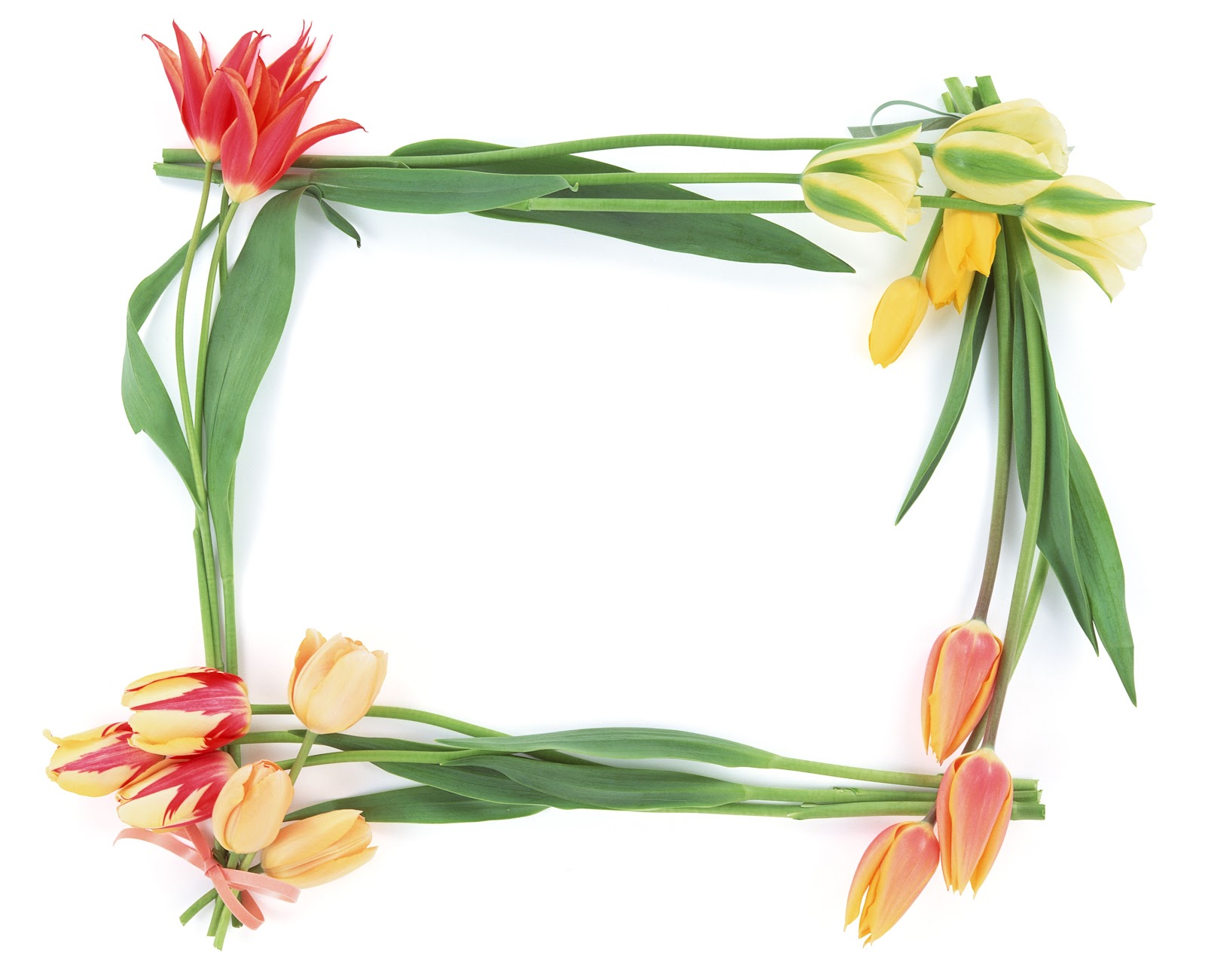New flower photo frames - Imagui