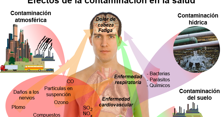 Contaminación del aire: Consecuencias de la contaminación del aire