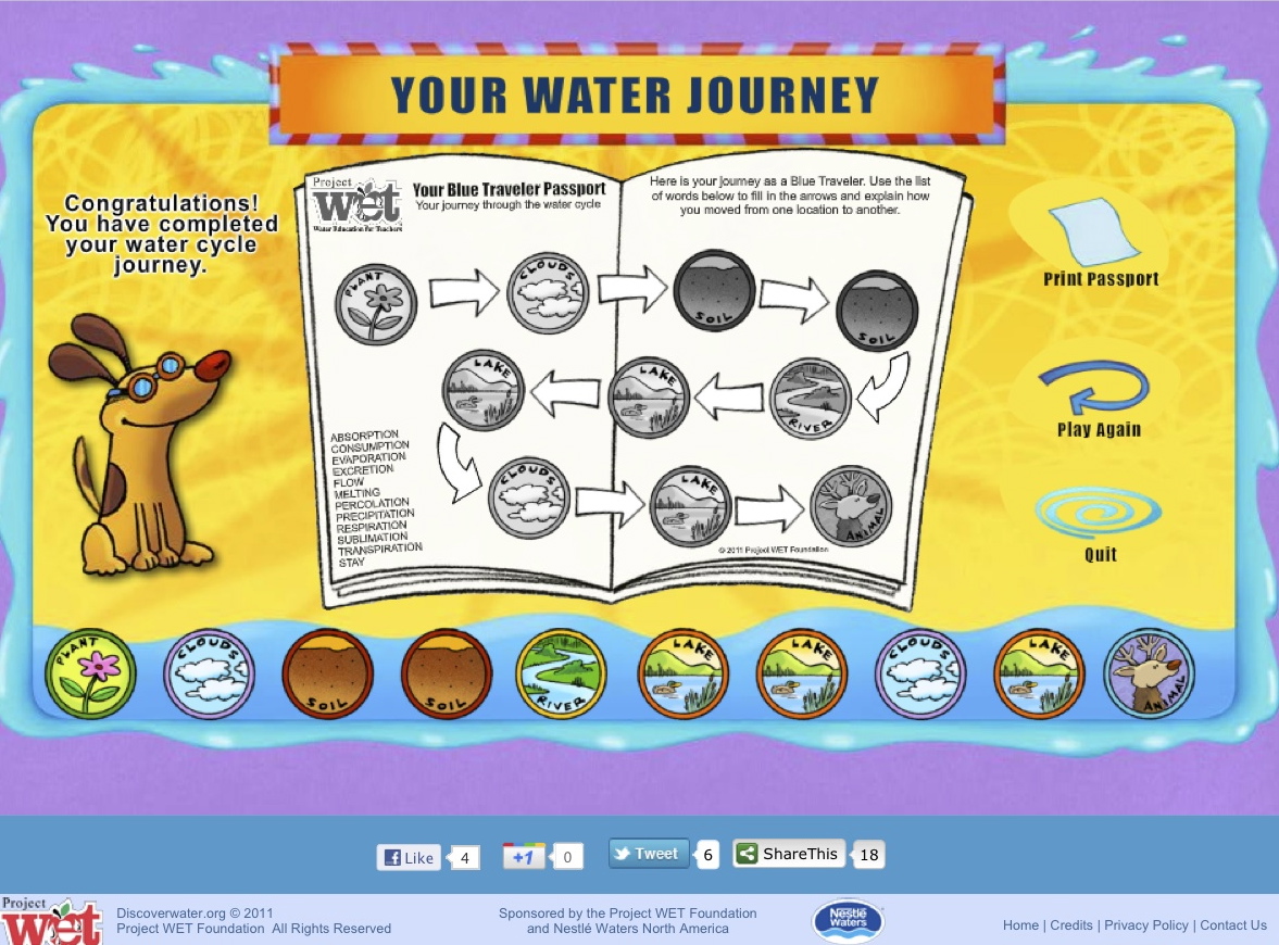 Discover Water: The Role of Water in Our Lives