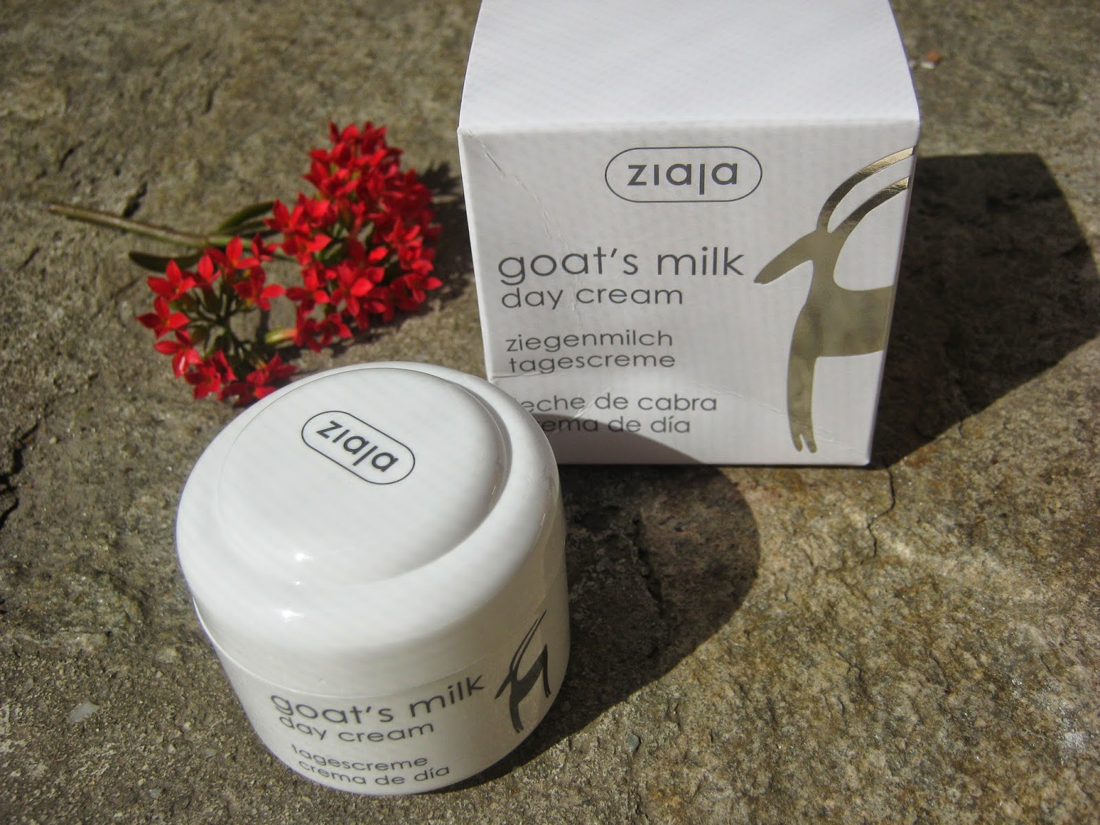 Ziaja Goat’s Milk Day Cream | Thingamyjic