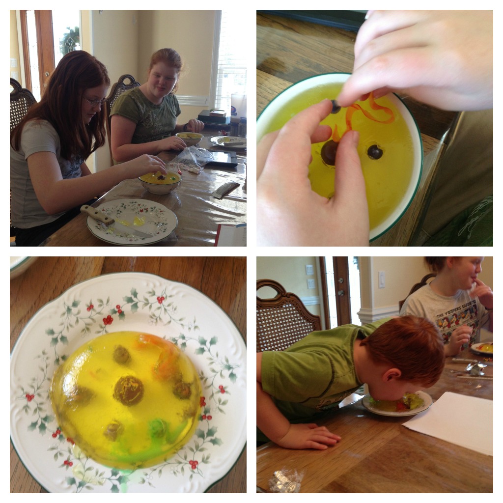 Acorn Hill Academy: REVIEW: Apologia Anatomy & Physiology