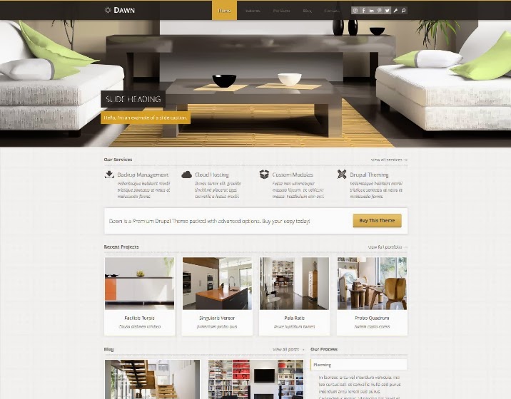 75+ Best Responsive Drupal Themes - Webprecis