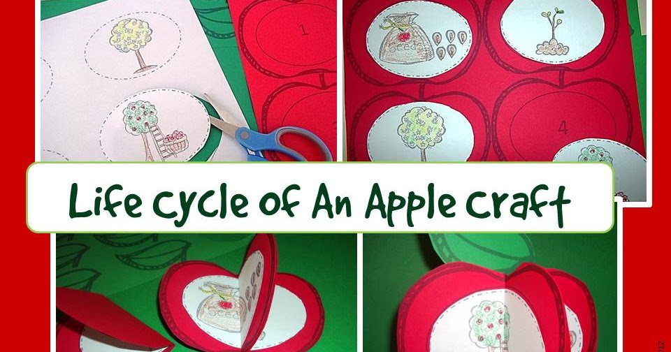 Sweet Tea Classroom: Fall Life Cycle of an Apple Craft for Fall Activities