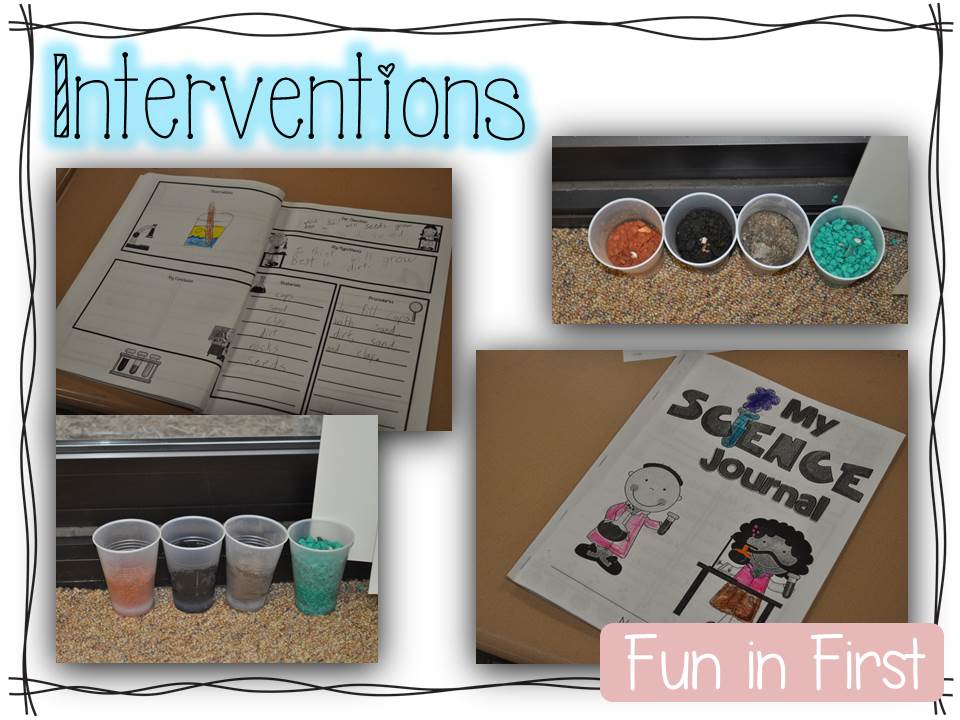 Come Be a Fly on My Wall - Fun in First