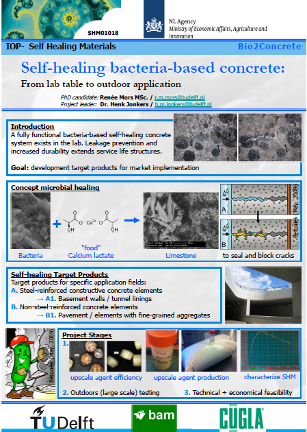 Self Healing Concrete: Bacterial Concrete Self Healing Concrete: Bacterial Concrete