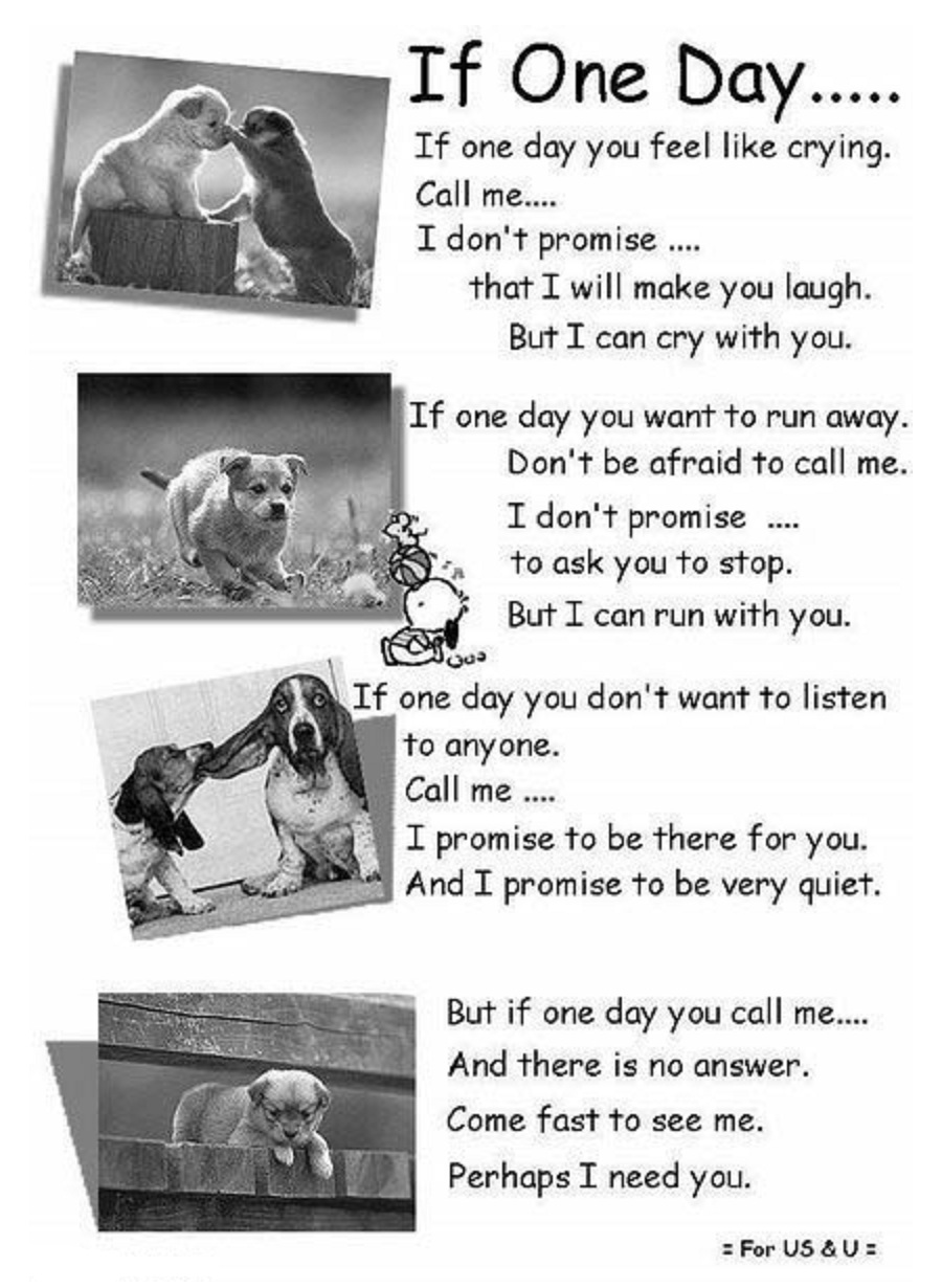 Sms-Quotes-Passion: Latest Friendship Day Quotes In Pictures Sms-Quotes-Passion: Latest Friendship Day Quotes In Pictures