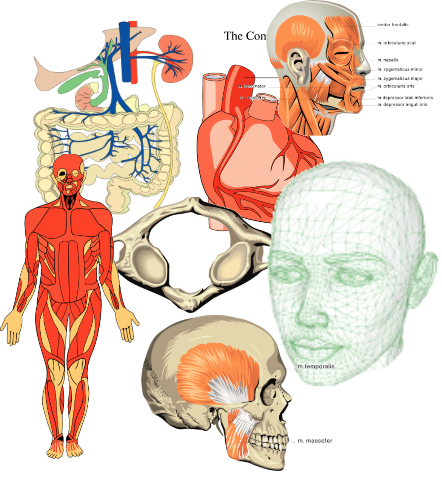 Programa de Sostenimiento y Mejora de la Calidad del Servicio Educativo ...