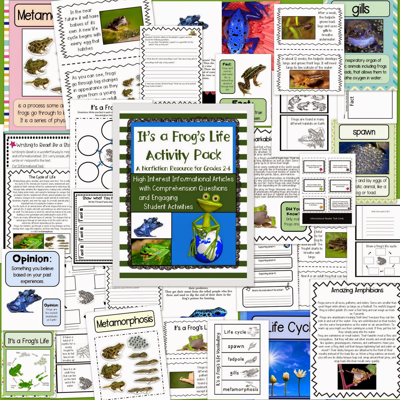 The Best of Teacher Entrepreneurs: It's a Frog's Life Activity Pack - A ...