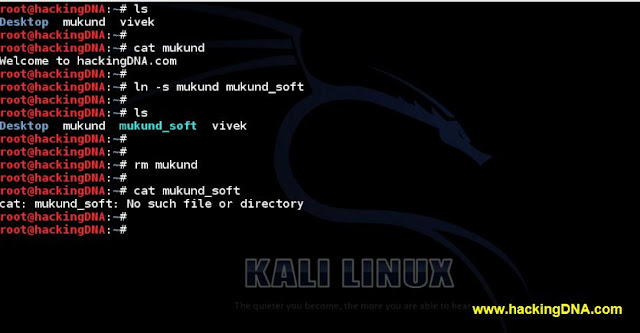 Shell Scripting On Kali Linux | HackingDNA Shell Scripting On Kali Linux | HackingDNA