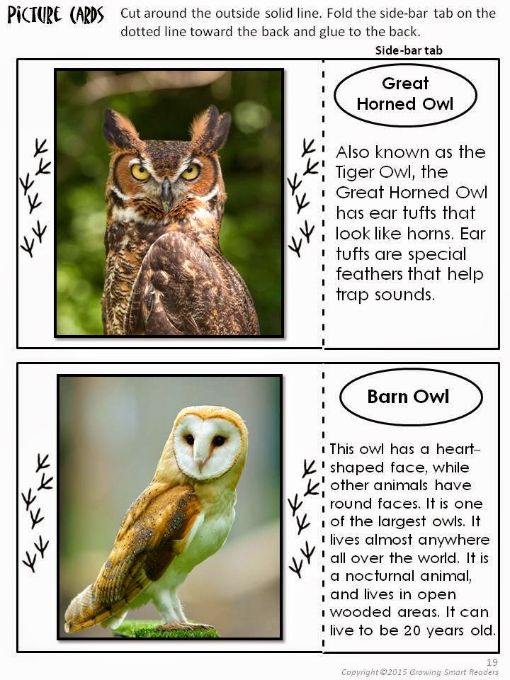 Growing Smart Readers: OWLS: This interactive resource will keep your ...