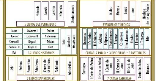 el colegio: Los libros de la Biblia