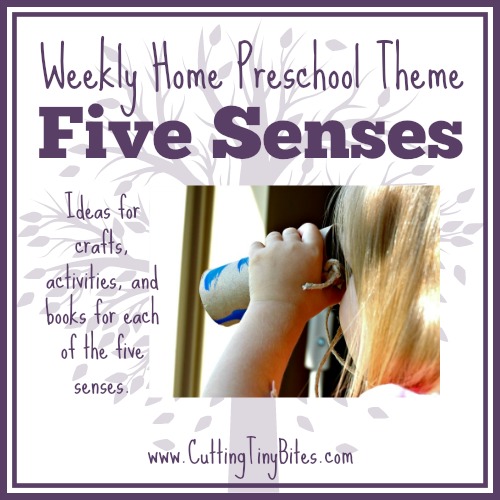 The Five Senses- Weekly Home Preschool Theme | What Can We Do With ...