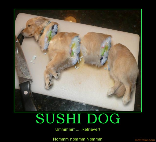 The Teach Zone Fun Interesting Dog Facts Funny Picture Collection the-teach-zone-fun-interesting-dog-facts-funny-picture-collection