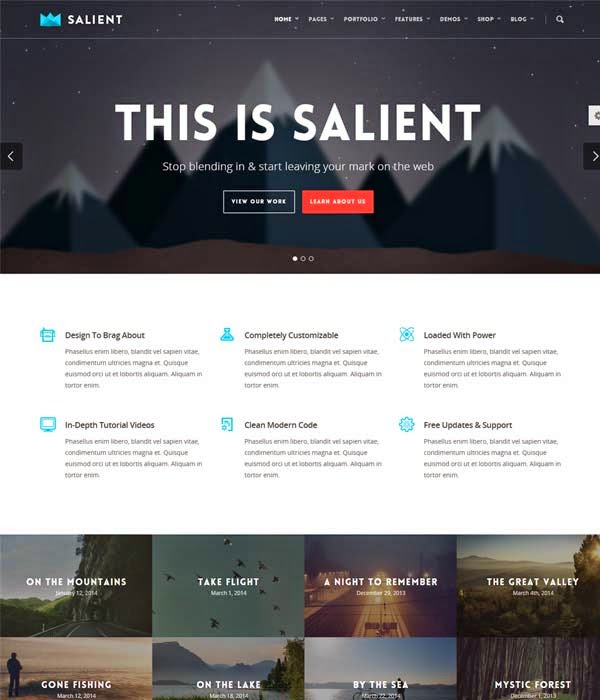 Salient - Responsive Multi-Purpose Theme | Theme & Blogging Seeker