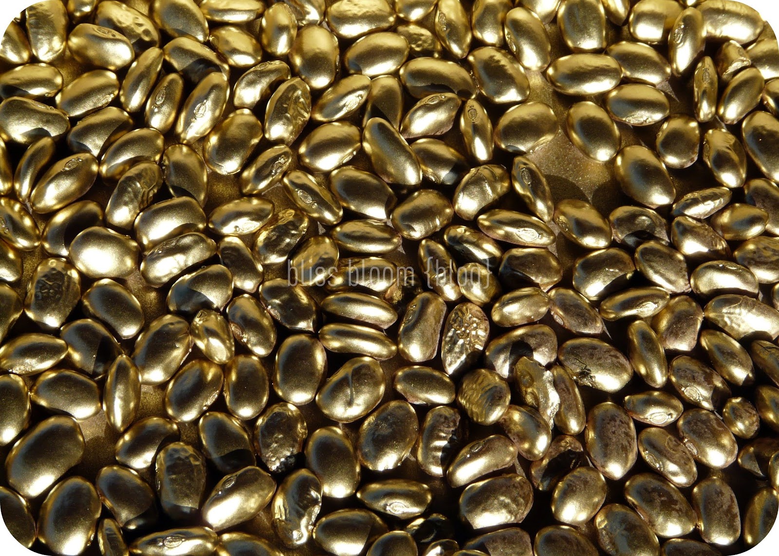 Make Golden Beans make-golden-beans