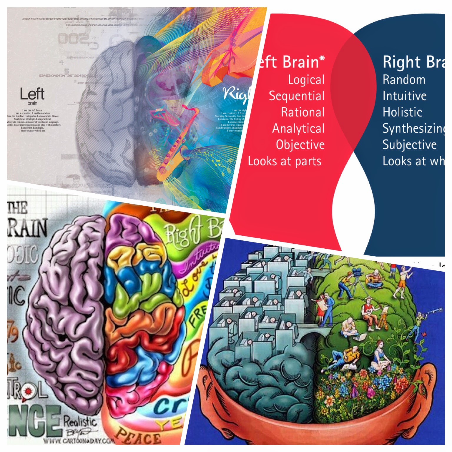 The Left Brain What Is The Brain the-left-brain-what-is-the-brain