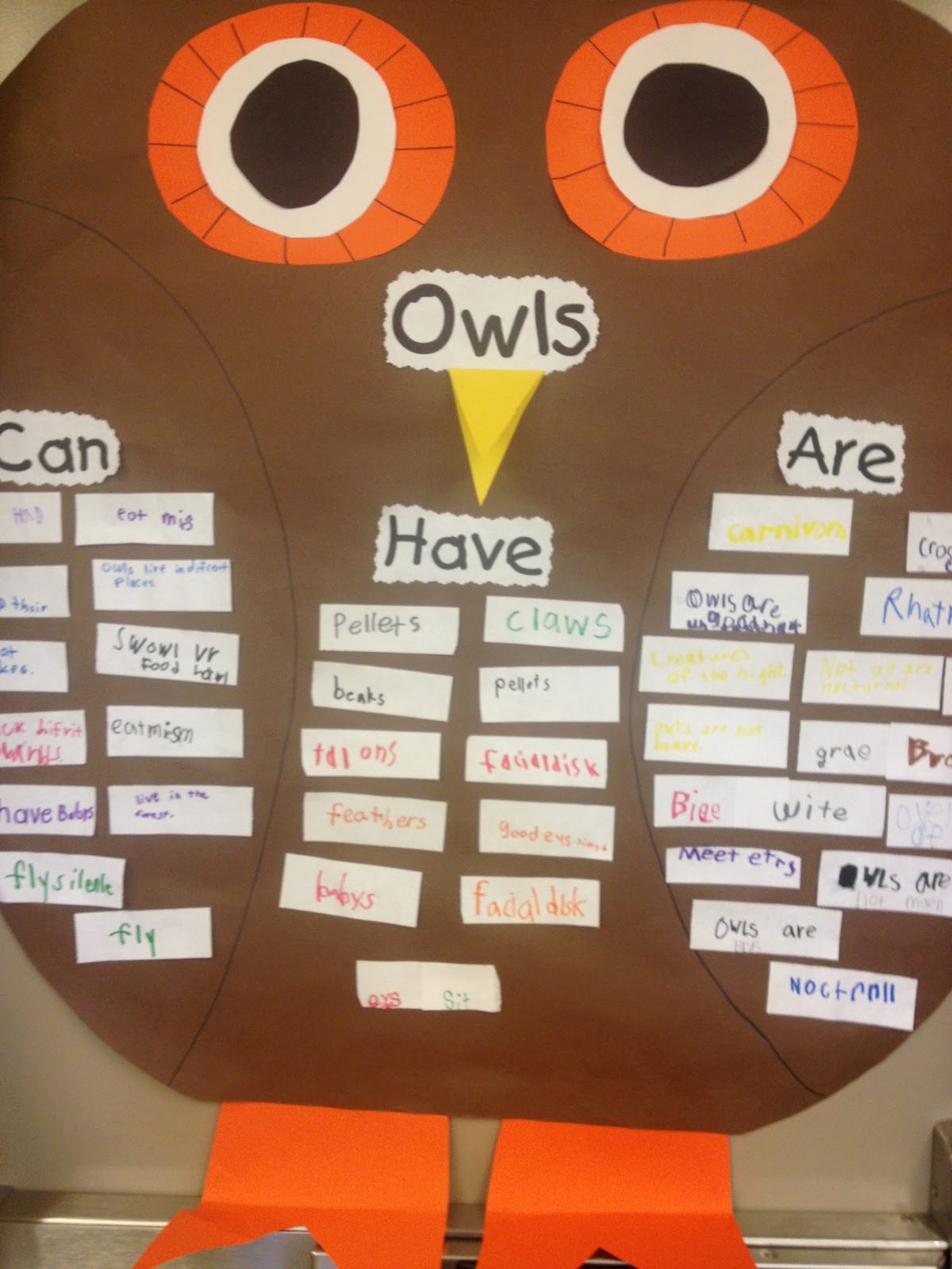 Owls! - Megan Mitchell
