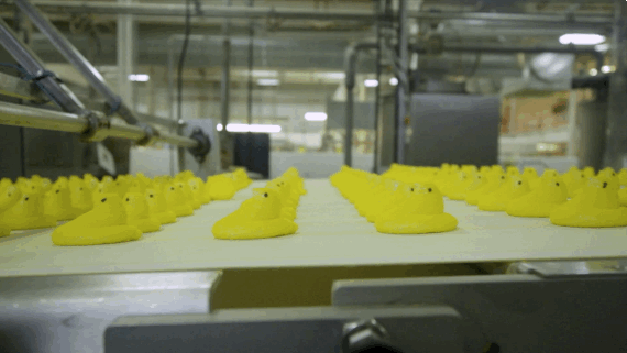 Progressive Charlestown: VIDEO: Important Peeps® Stuff Progressive Charlestown: VIDEO: Important Peeps® Stuff