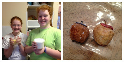 Acorn Hill Academy: REVIEW: Apologia Anatomy & Physiology