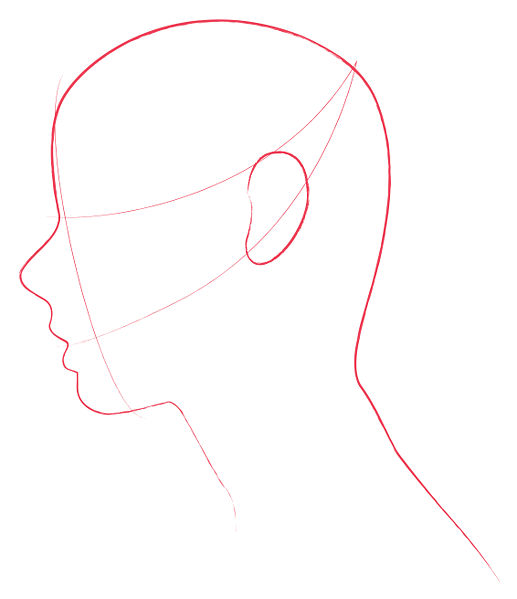 Pencil Sketches And Drawings How To Draw A Human Head pencil-sketches-and-drawings-how-to-draw-a-human-head