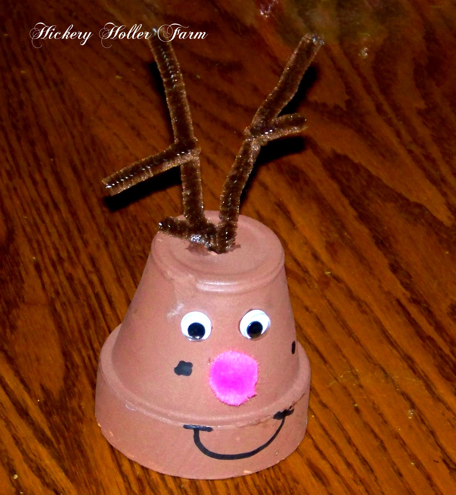 Hickery Holler Farm Homemade Ornament Ideas hickery-holler-farm-homemade-ornament-ideas
