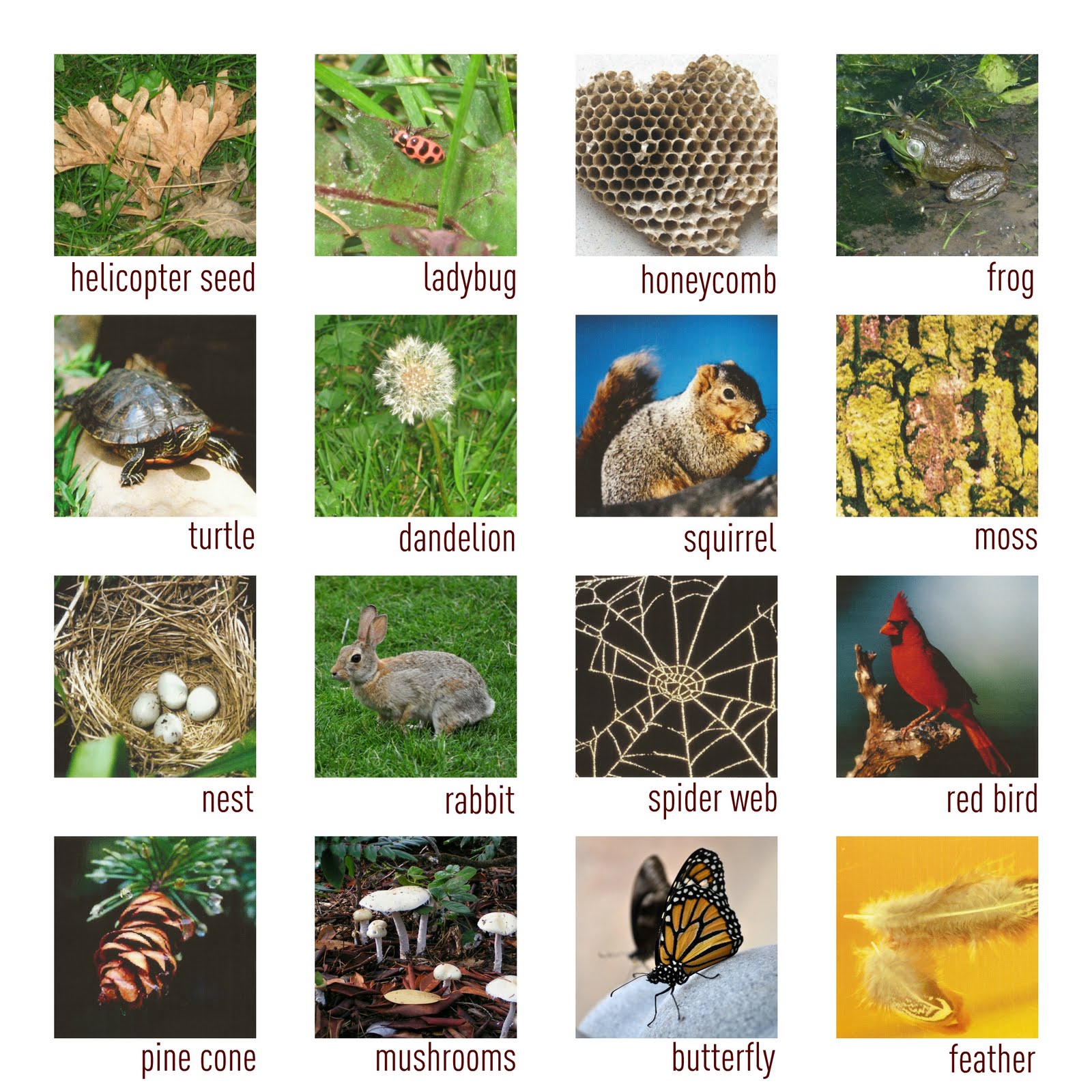 Relentlessly Fun Deceptively Educational Nature Scavenger Hunt relentlessly-fun-deceptively-educational-nature-scavenger-hunt