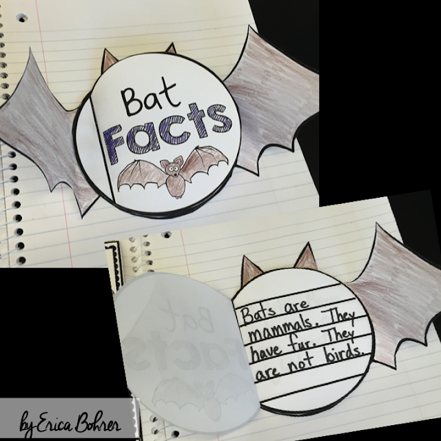 Bats Interactive Science Notebook