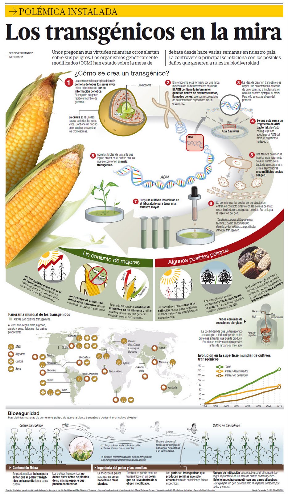 Estos son algunos peligros de los alimentos transgénicos ~ Anon Publico