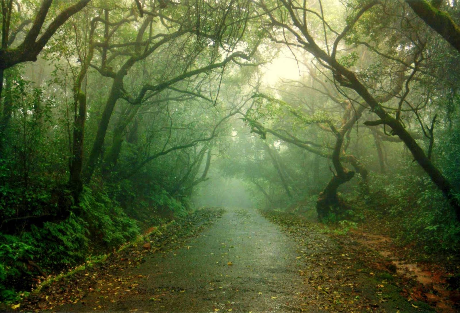 Travelocity: Mahabaleshwar, Popular Hill Station in Maharashtra