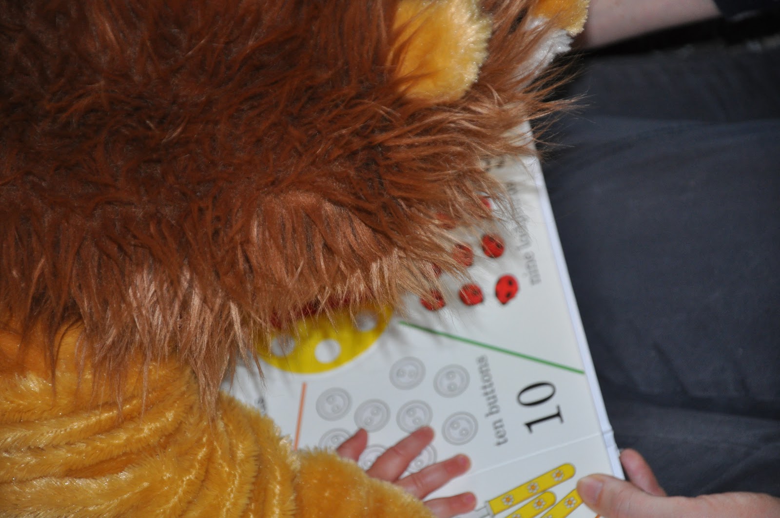 Culture Baby: Happy Birthday Dear Zoo!