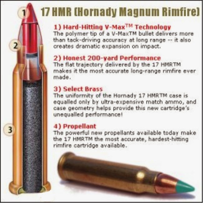Ask A Firearms Question Firearm Forum Question Remington Model 597 Rifle 17 HMR Recall Notice ask-a-firearms-question-firearm-forum-question-remington-model-597-rifle-17-hmr-recall-notice