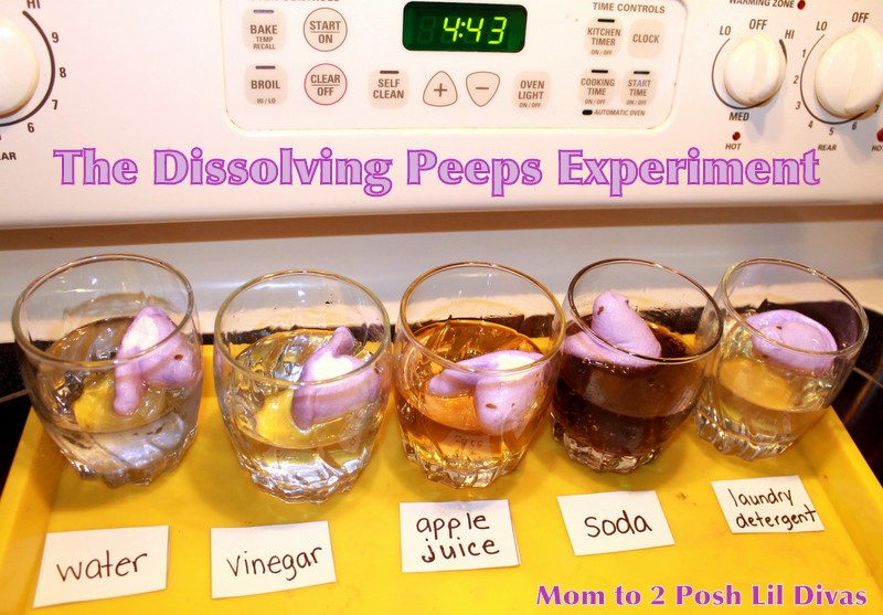 Mom to 2 Posh Lil Divas: The Dissolving Peeps Experiment