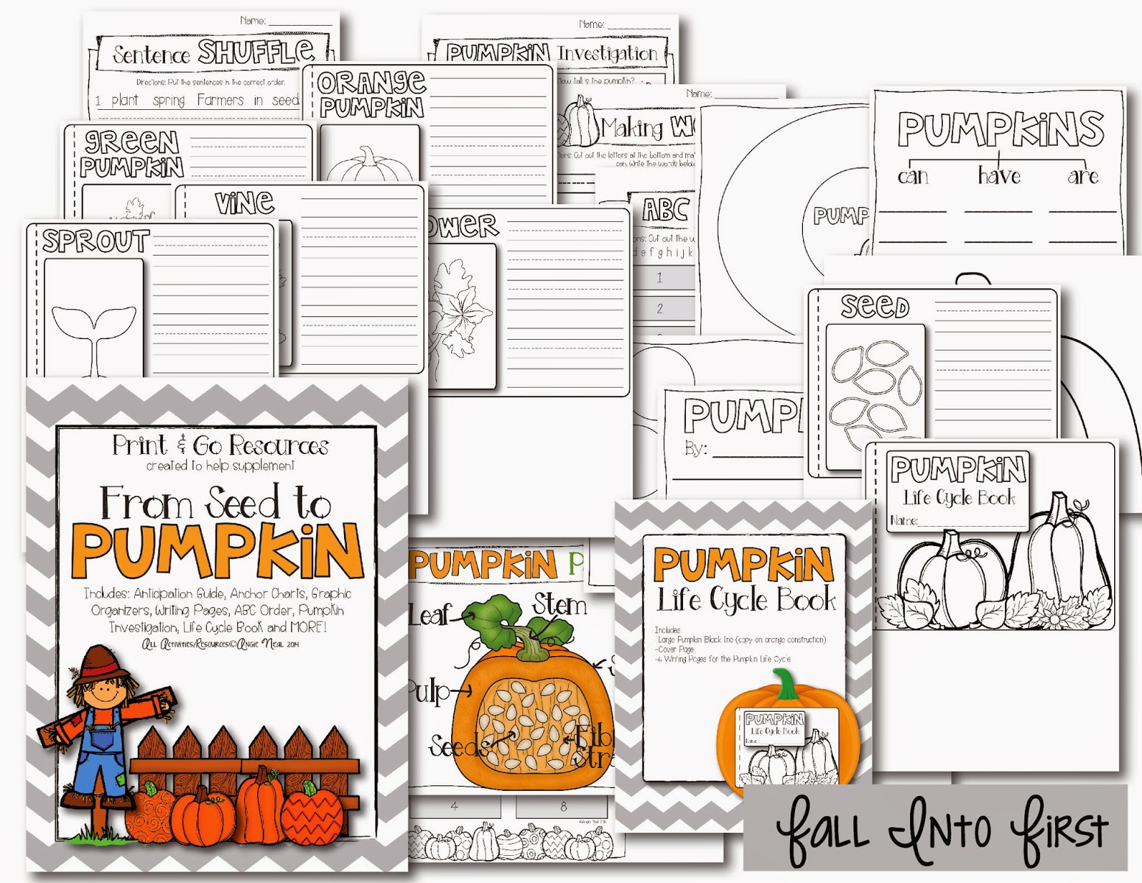 Fall Into First: From Seed to Pumpkin!