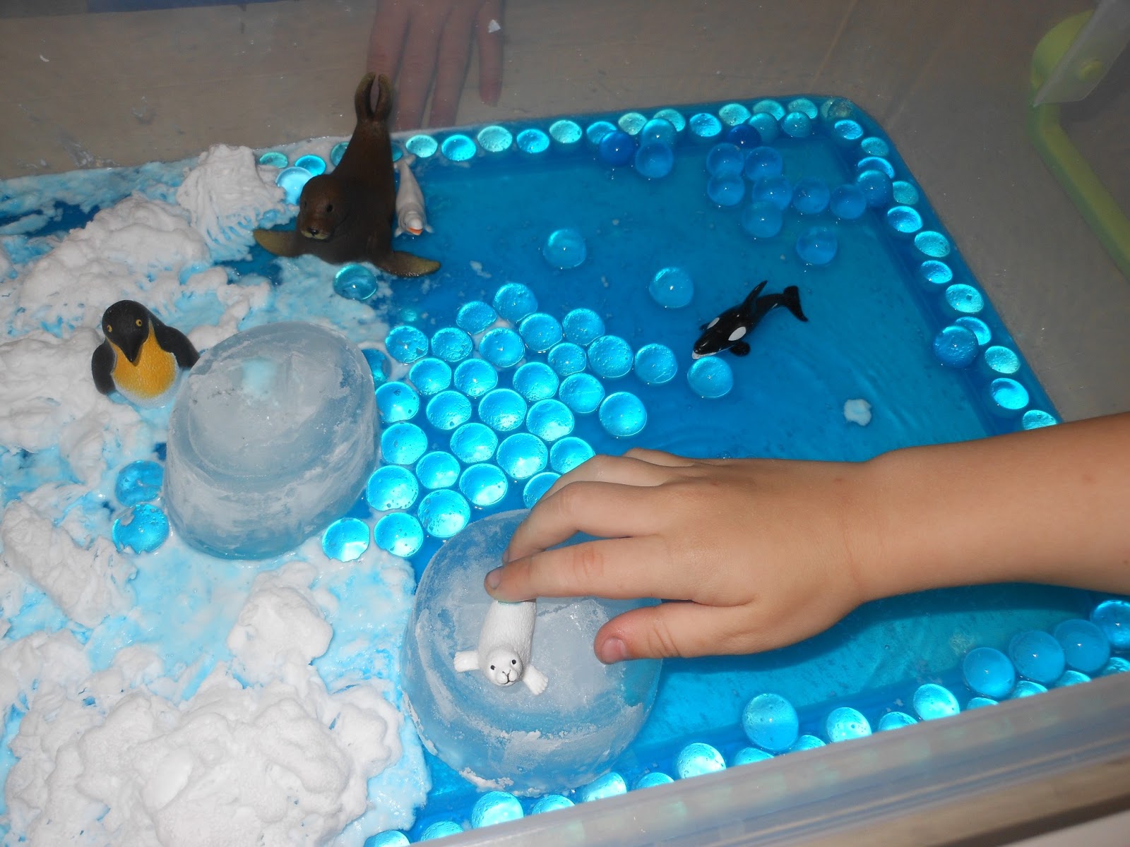Endangered Ocean Animals Activities - Natural Beach Living
