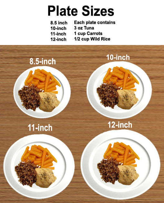 Dietitians Online Blog Good bye Food Pyramid Hello Food Plate dietitians-online-blog-good-bye-food-pyramid-hello-food-plate