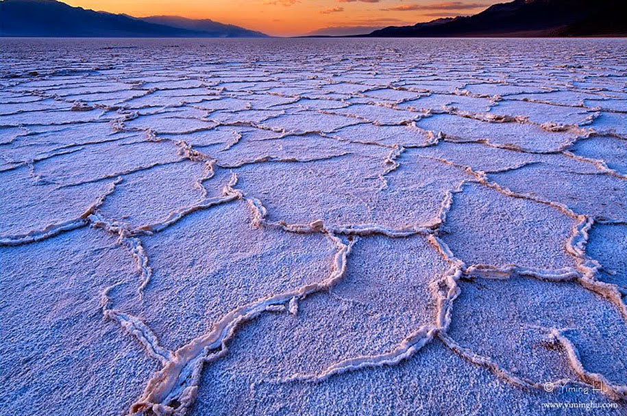35 Breathtaking Examples Of Patterns In Nature 35-breathtaking-examples-of-patterns-in-nature